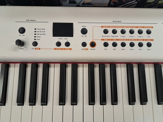 Gear Hunter | Studiologic Numa Stage